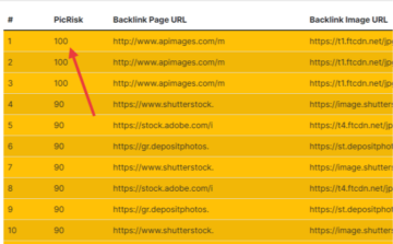 What is the PicRisk Score? - picdefense.io